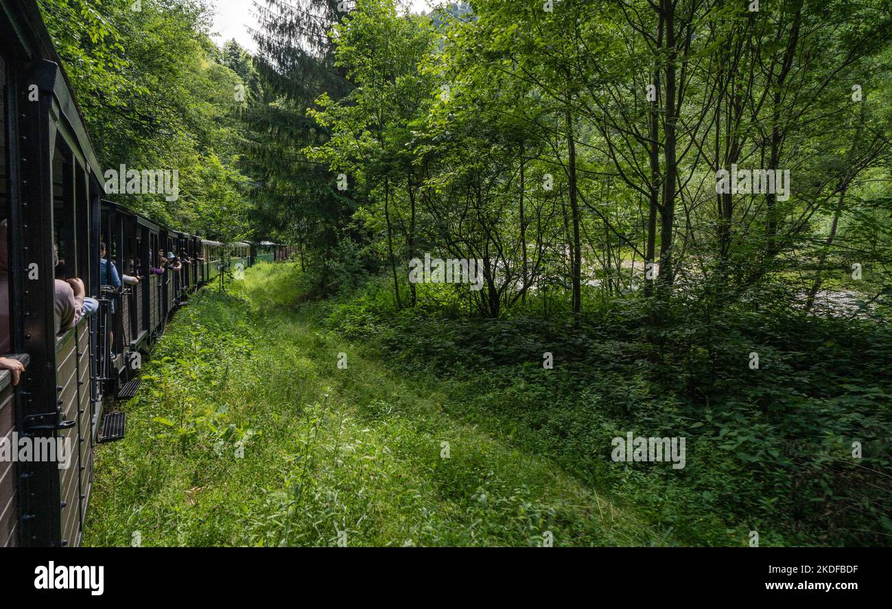 Vecchio treno a vapore, puffing lungo i binari / Mocanita Maramures Romania. Treno a vapore d ...