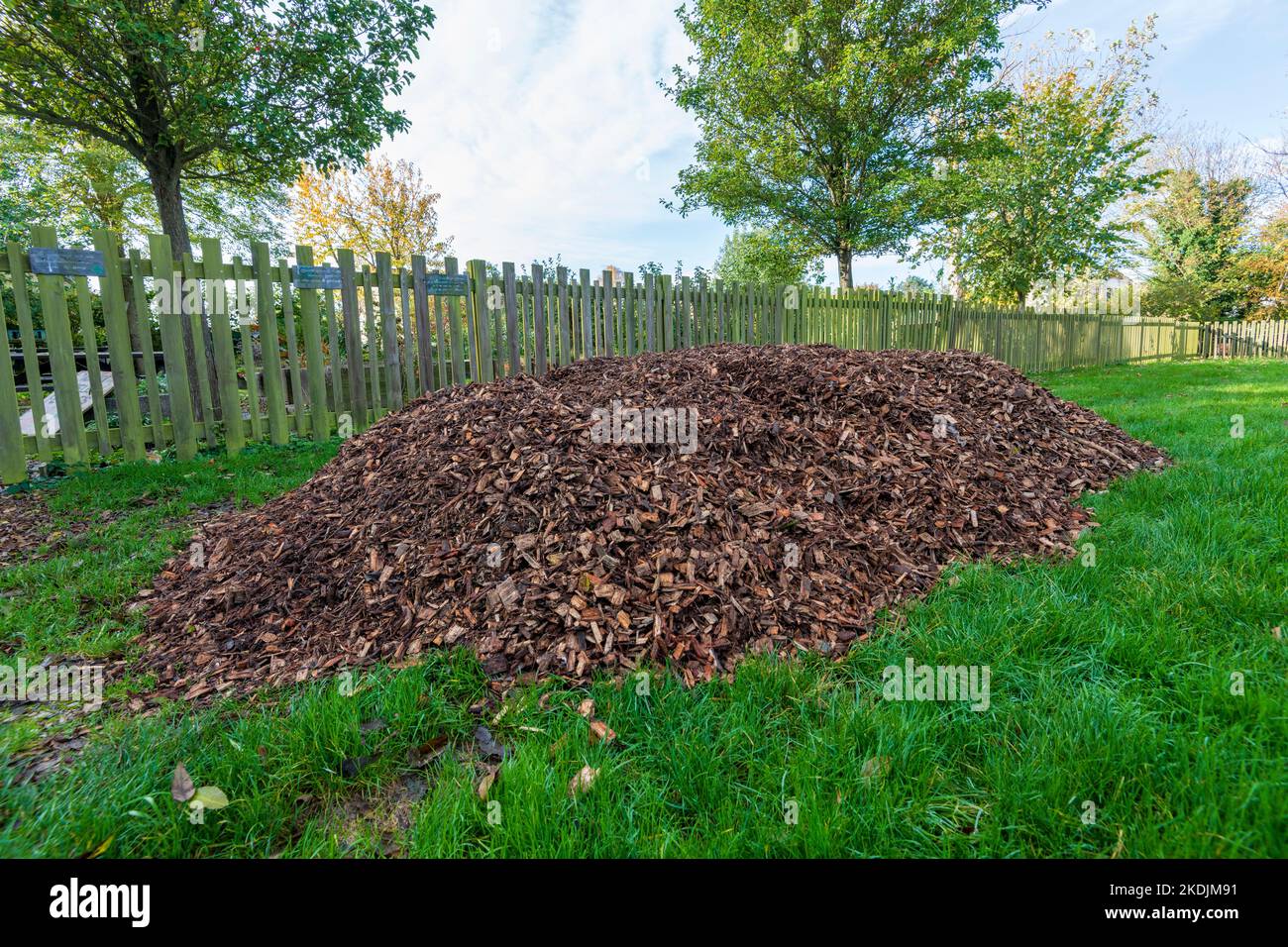 Morfologia vegetale e anatomia immagini e fotografie stock ad alta ...