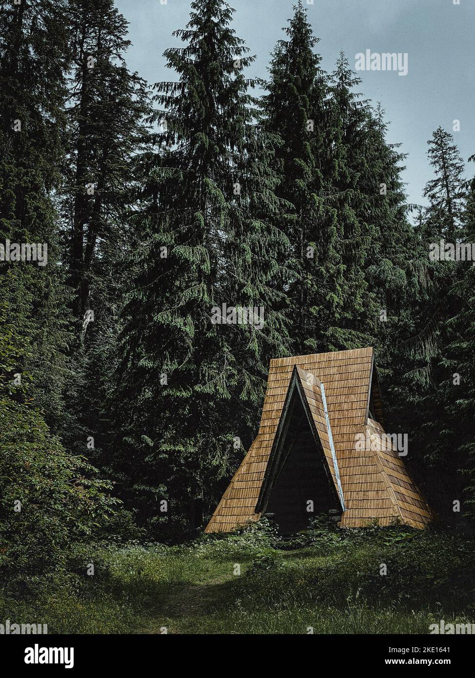 Capanna della foresta immagini e fotografie stock ad alta risoluzione ...