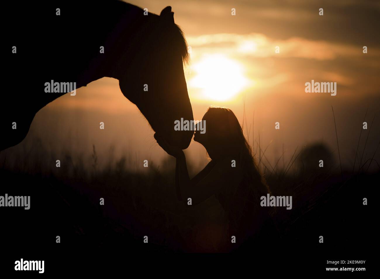 Sagoma di cavallo bacia immagini e fotografie stock ad alta risoluzione ...