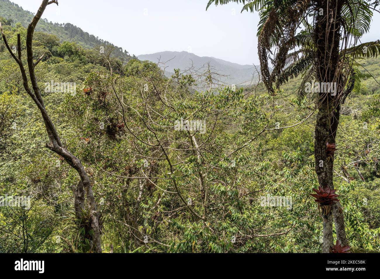 Valle del tetero immagini e fotografie stock ad alta risoluzione - Alamy