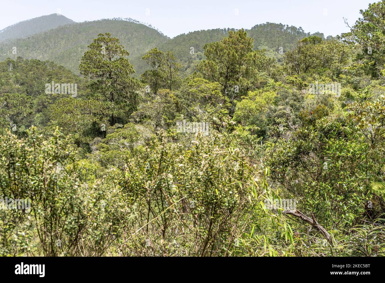 Valle del tetero immagini e fotografie stock ad alta risoluzione - Alamy