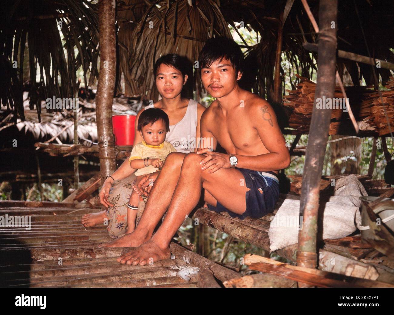 Resistenza alla deforestazione nel sarawak immagini e fotografie stock ad alta risoluzione - Alamy