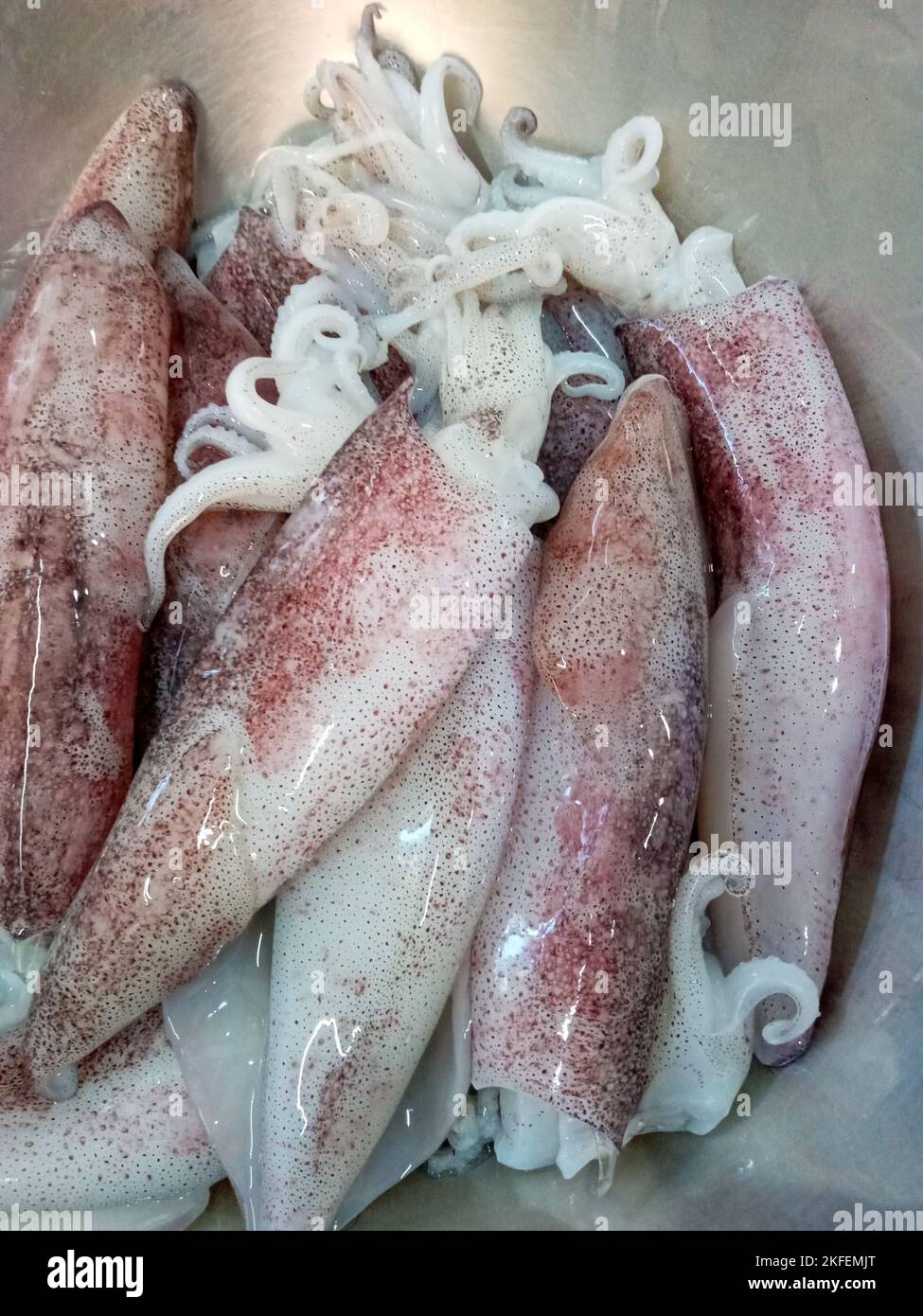 Preparandosi a compilare immagini e fotografie stock ad alta ...