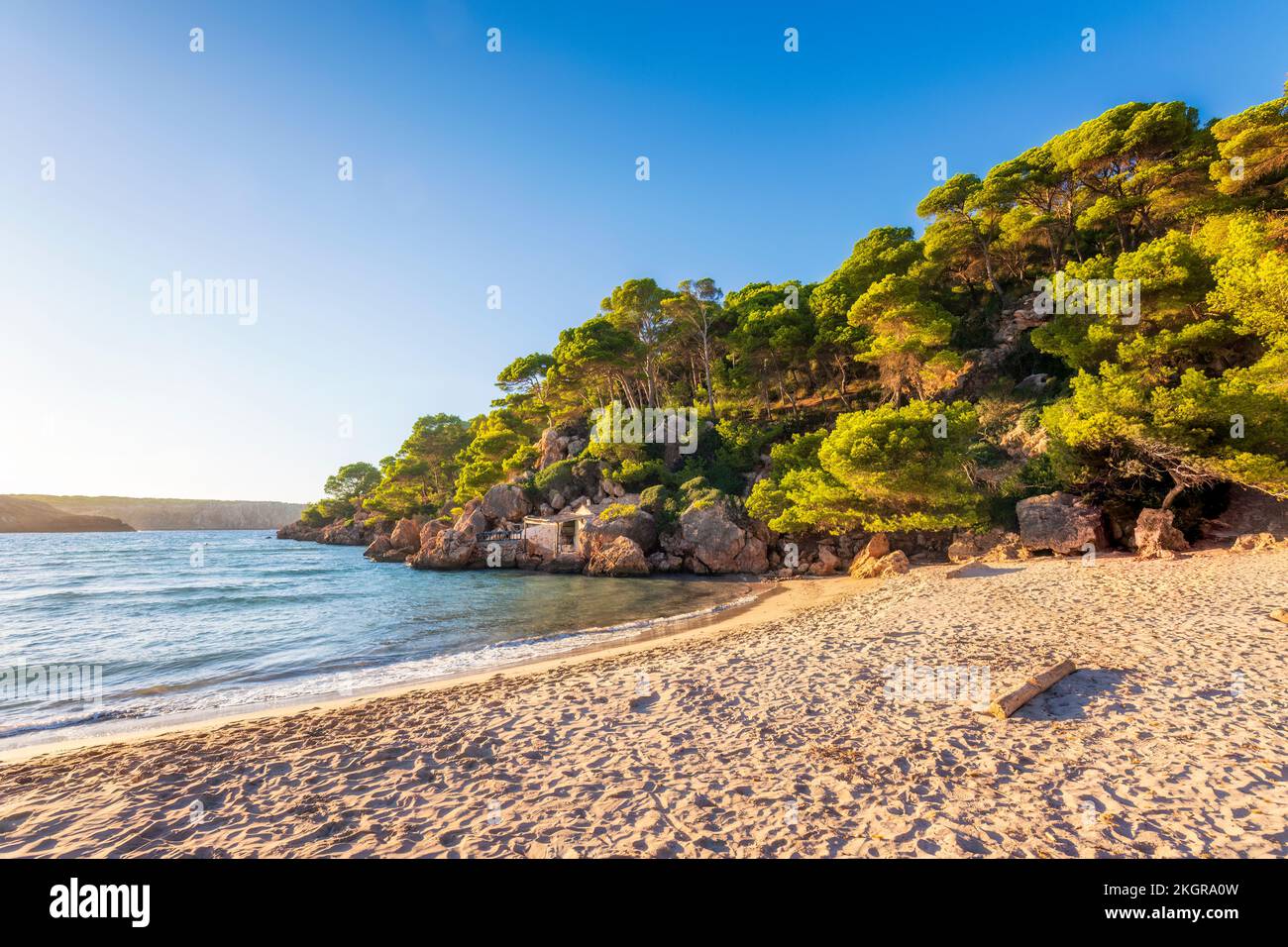 Del bot immagini e fotografie stock ad alta risoluzione - Alamy