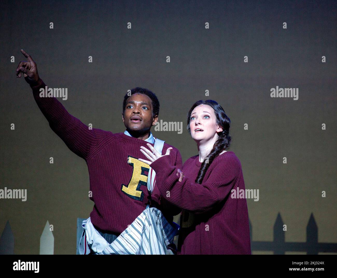 Schema genetico immagini e fotografie stock ad alta risoluzione - Alamy