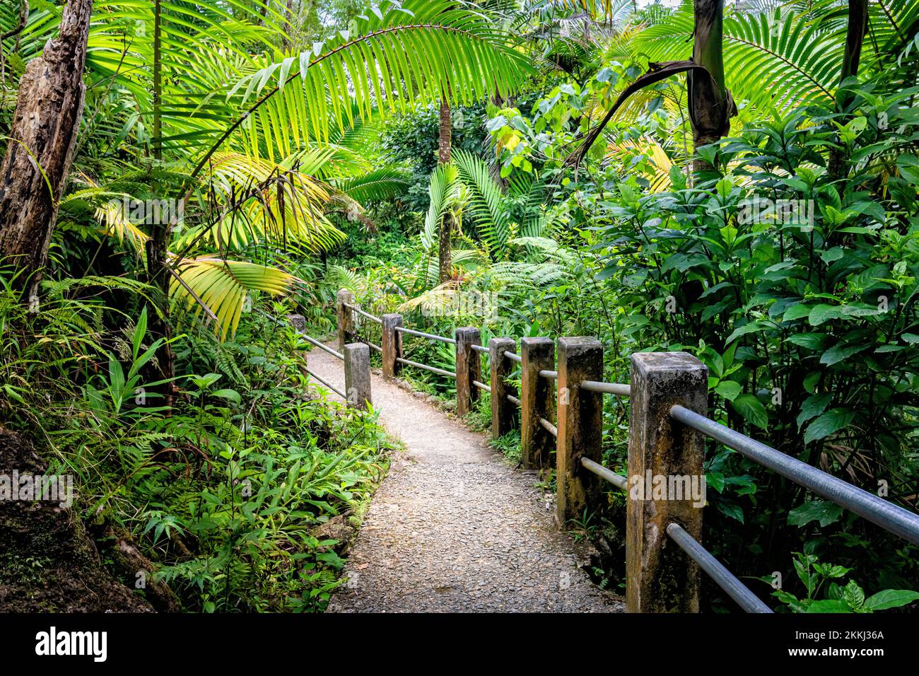 Mt britton trail immagini e fotografie stock ad alta risoluzione - Alamy