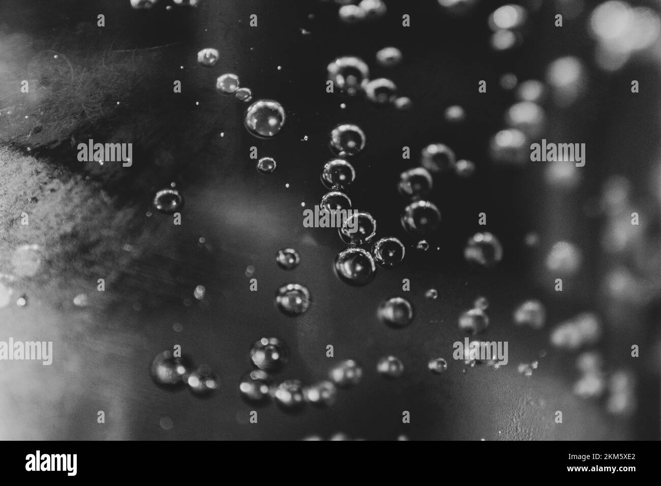 Sfondi sfocati party Foto e Immagini Stock in Bianco e Nero - Alamy