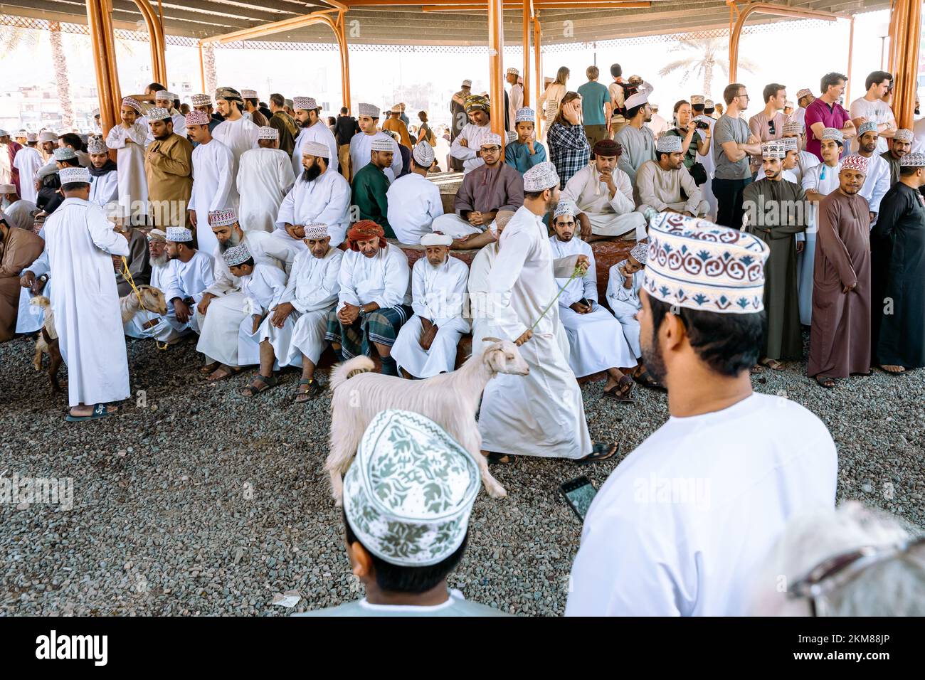 NIZWA, OMAN - 18 NOVEMBRE 2022: Mercato di capra di Nizwa. Tradizionale ...