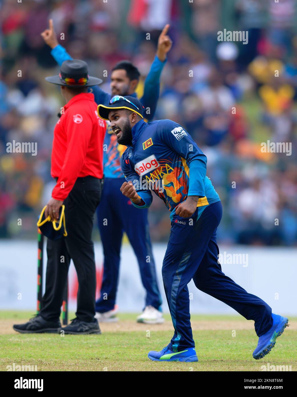 Giocatore di cricket dello sri lanka wanidu hasaranga immagini e ...