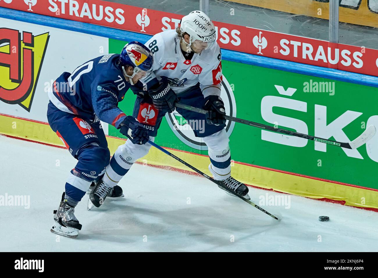 Daubner maximilian ehc red bull munchen immagini e fotografie stock ad ...