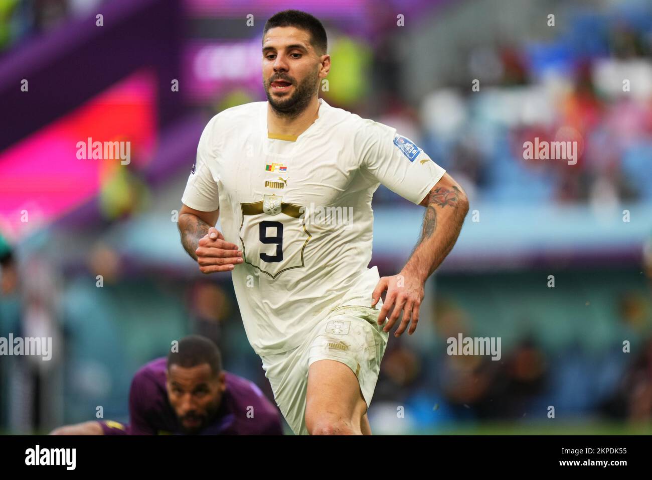 Aleksandar Mitrovic di Serbia durante la partita della Coppa del mondo ...