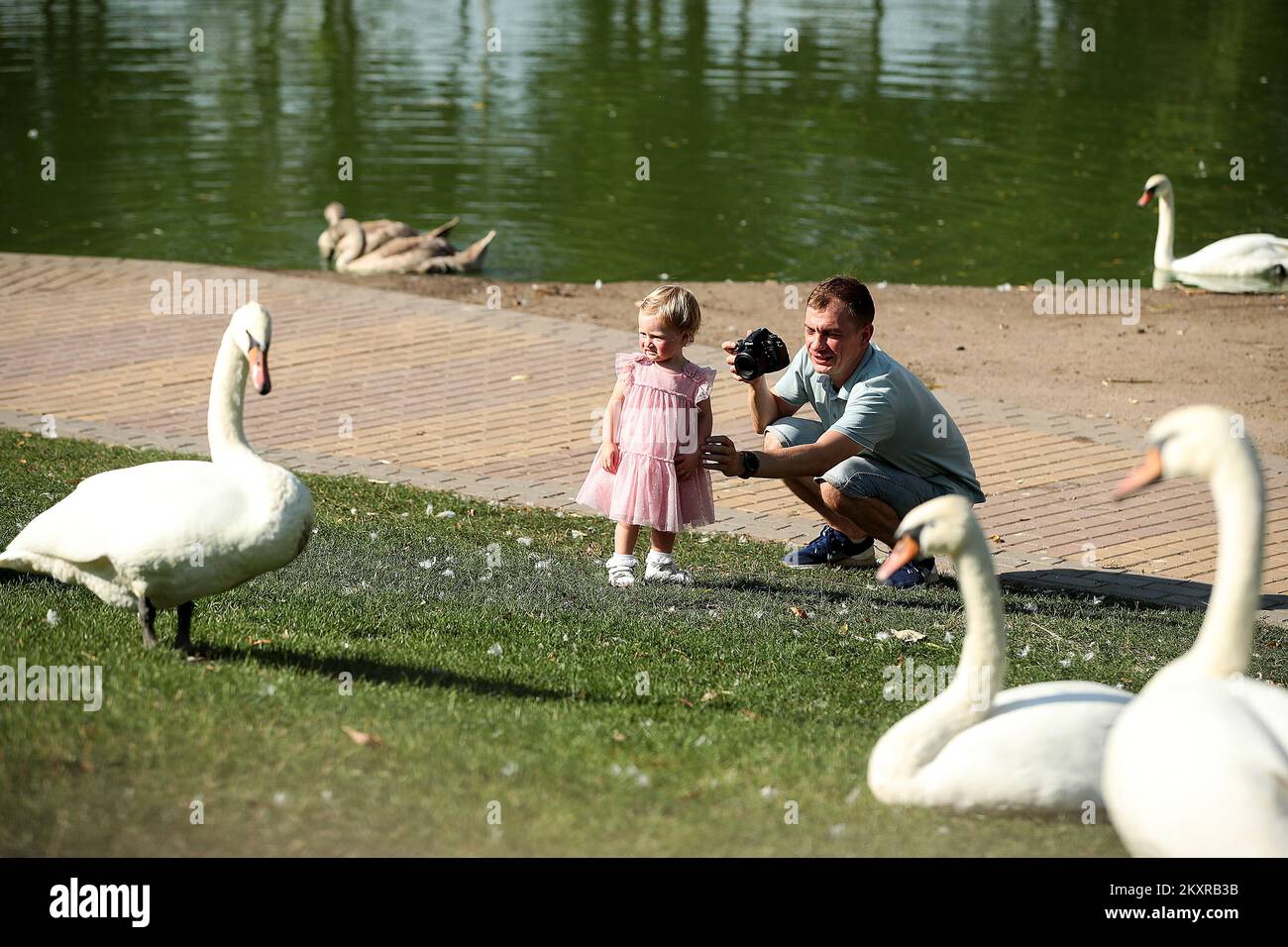 Sistema fluviale principale immagini e fotografie stock ad alta ...