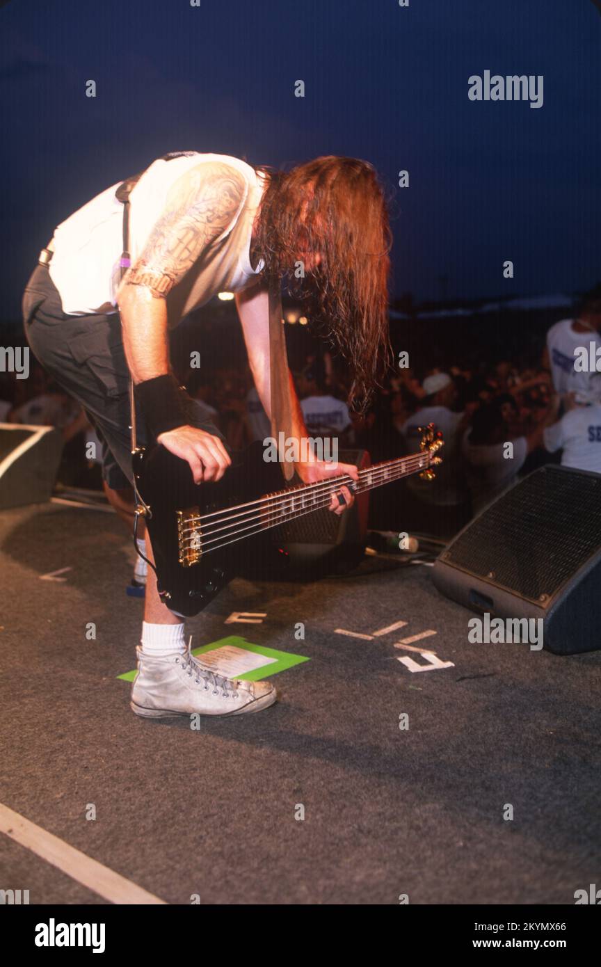 Pantera basso immagini e fotografie stock ad alta risoluzione - Alamy