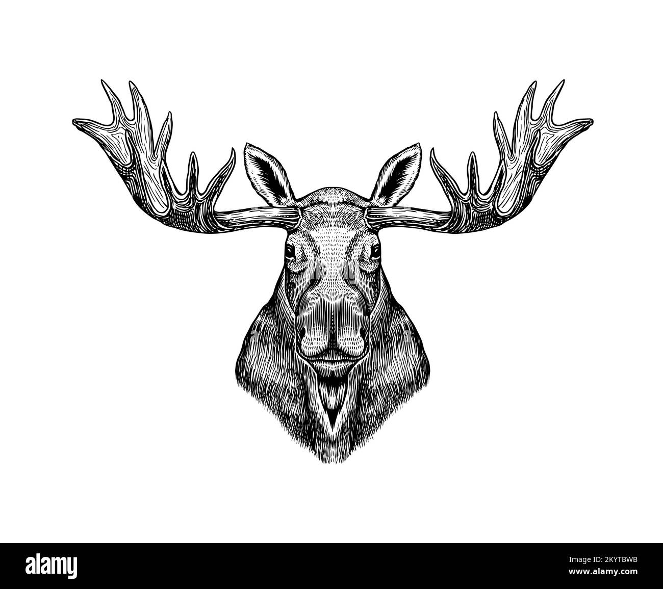 Disegno a matita di caccia di foresta Immagini Vettoriali Stock - Alamy