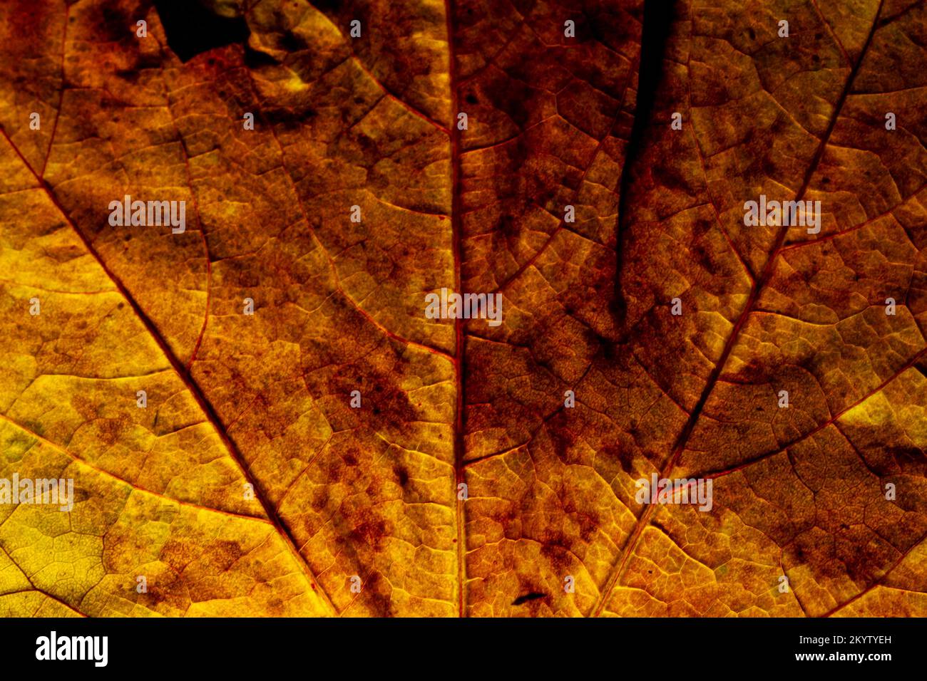 Tableau des couleurs immagini e fotografie stock ad alta risoluzione ...