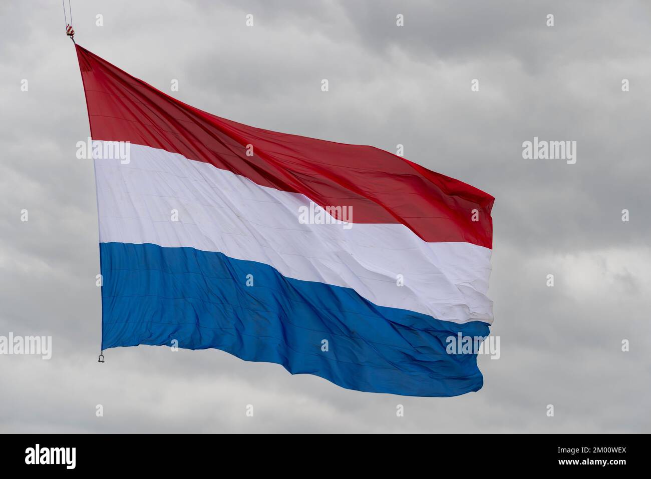 Simbolo nazionale dell'olanda immagini e fotografie stock ad alta ...