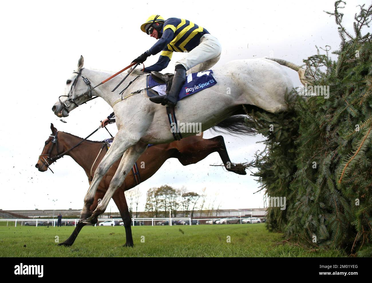 Boylesports becher chase day ippodromo di aintree sabato dic immagini e ...