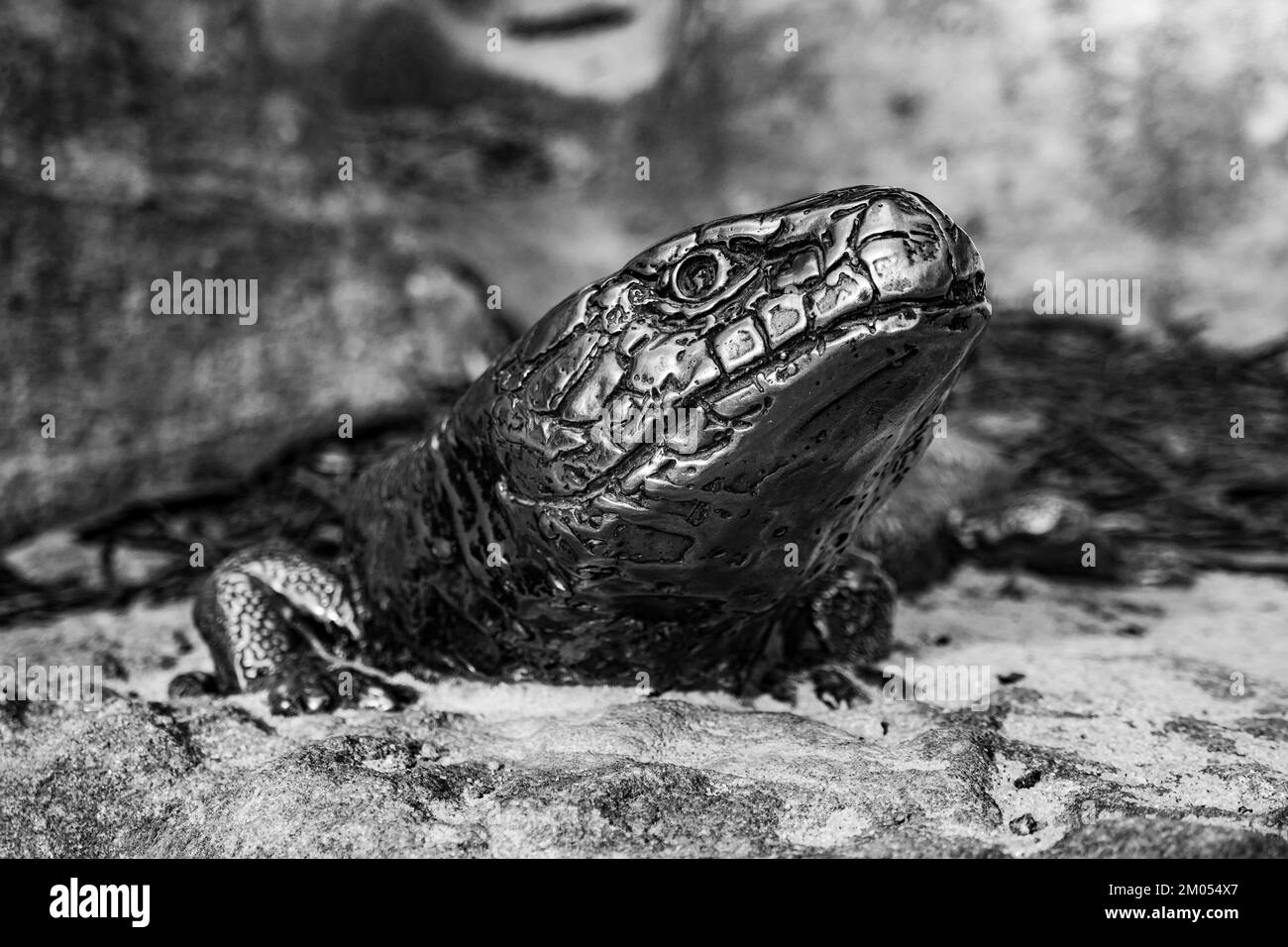 Disegno scultura in metallo Foto e Immagini Stock in Bianco e Nero - Alamy