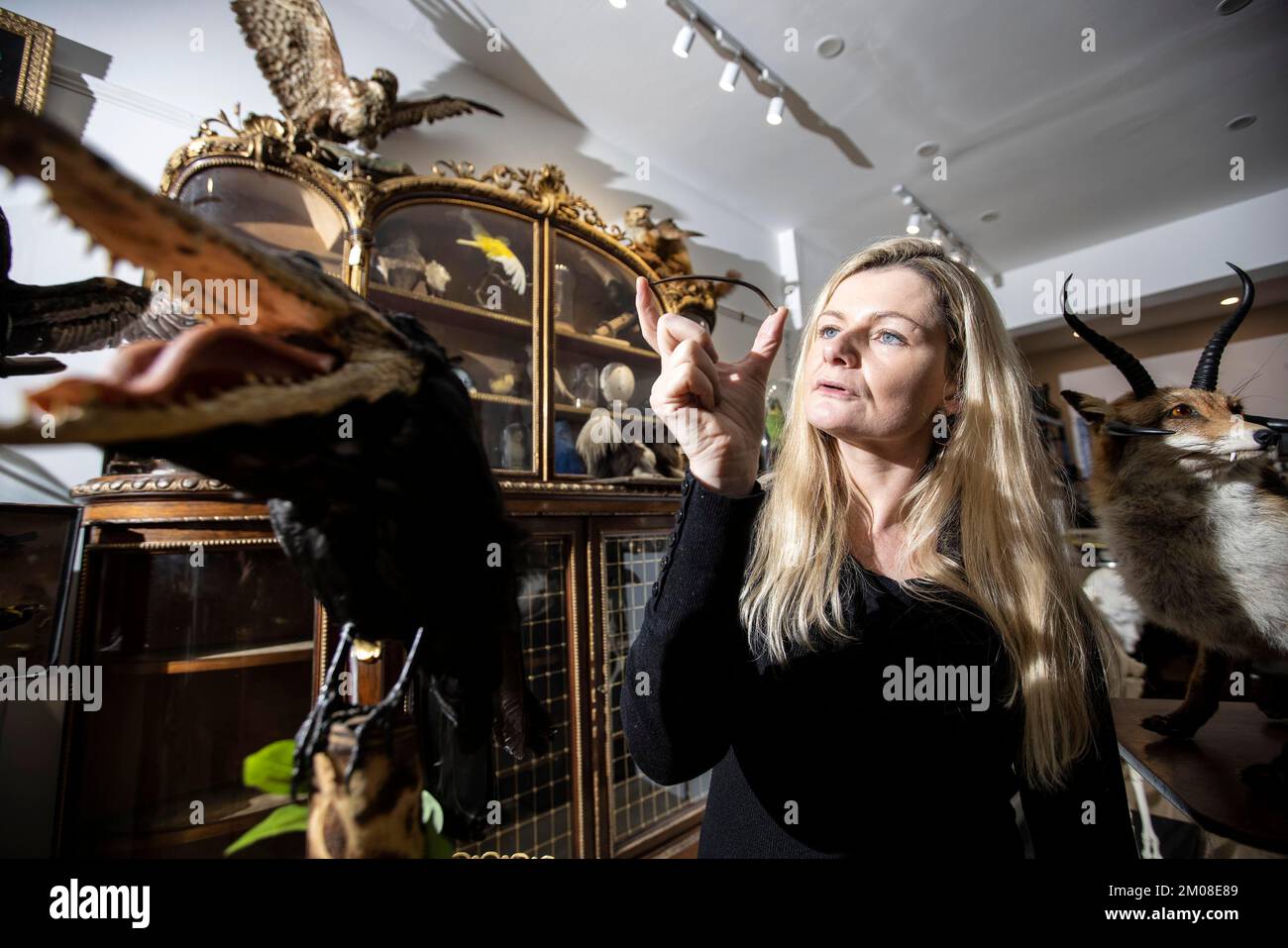 Osso di uccello dodo immagini e fotografie stock ad alta risoluzione ...