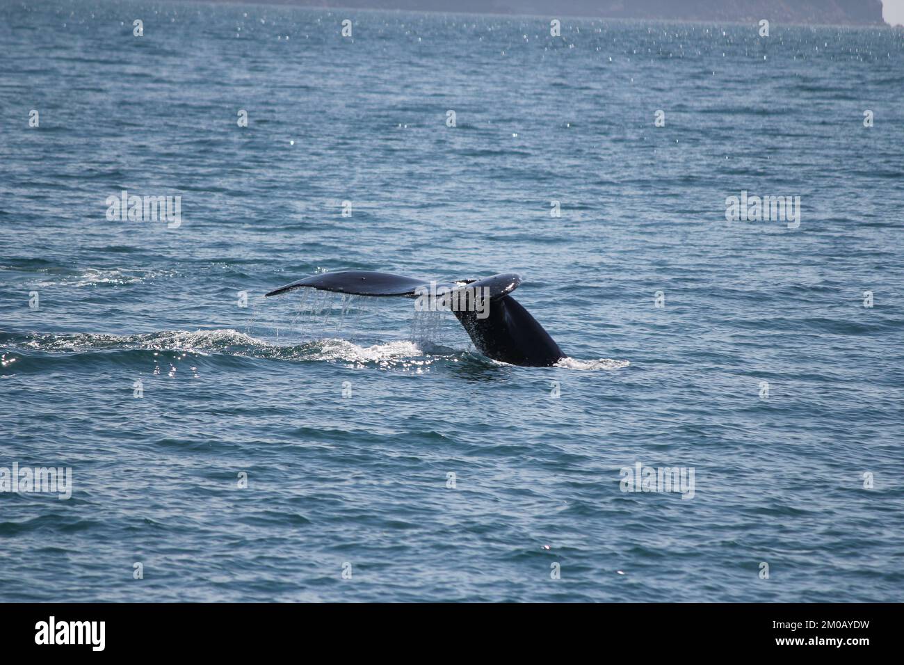 Lago oceano immagini e fotografie stock ad alta risoluzione - Alamy