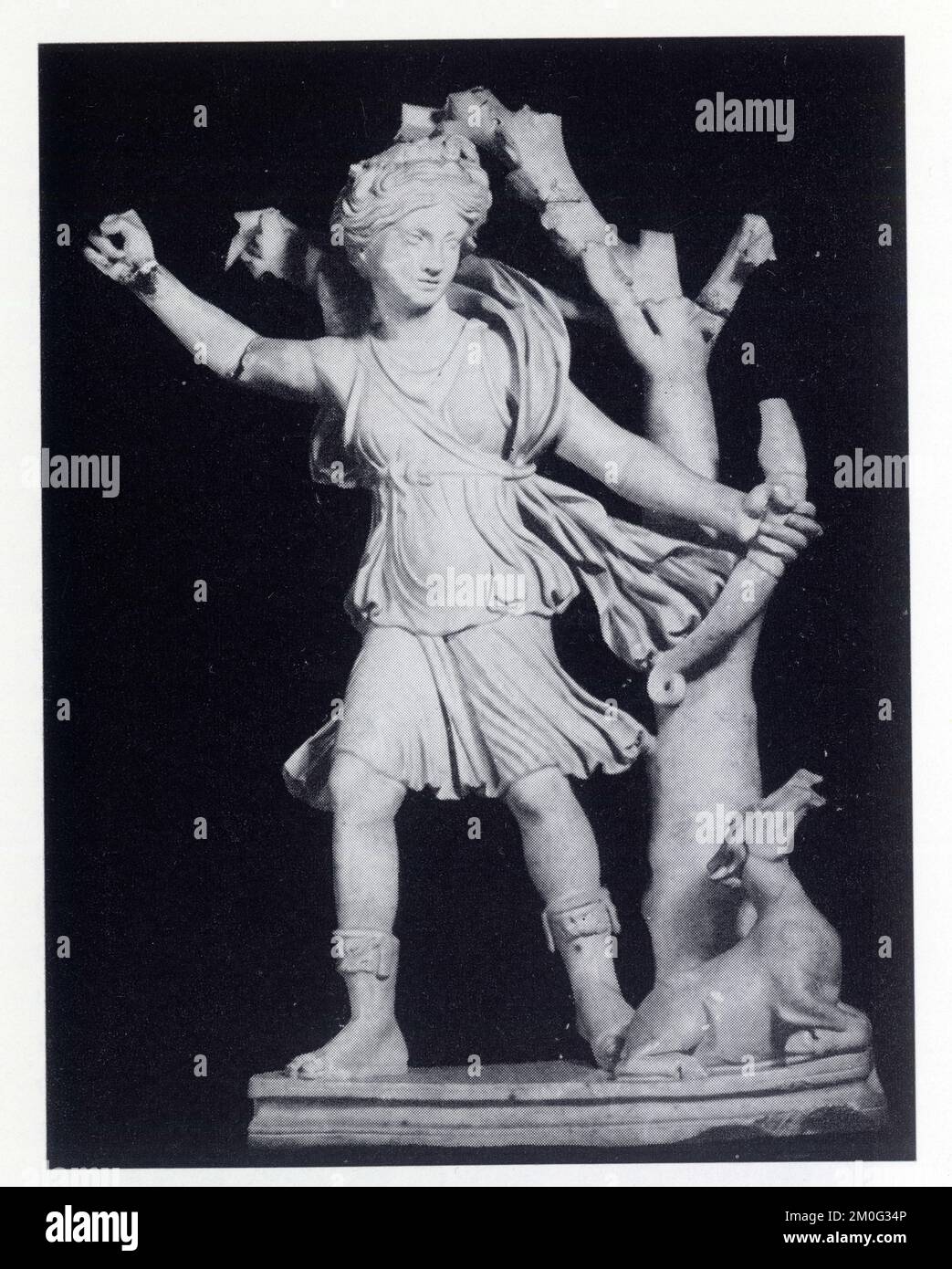 Diane chasseresse immagini e fotografie stock ad alta risoluzione - Alamy