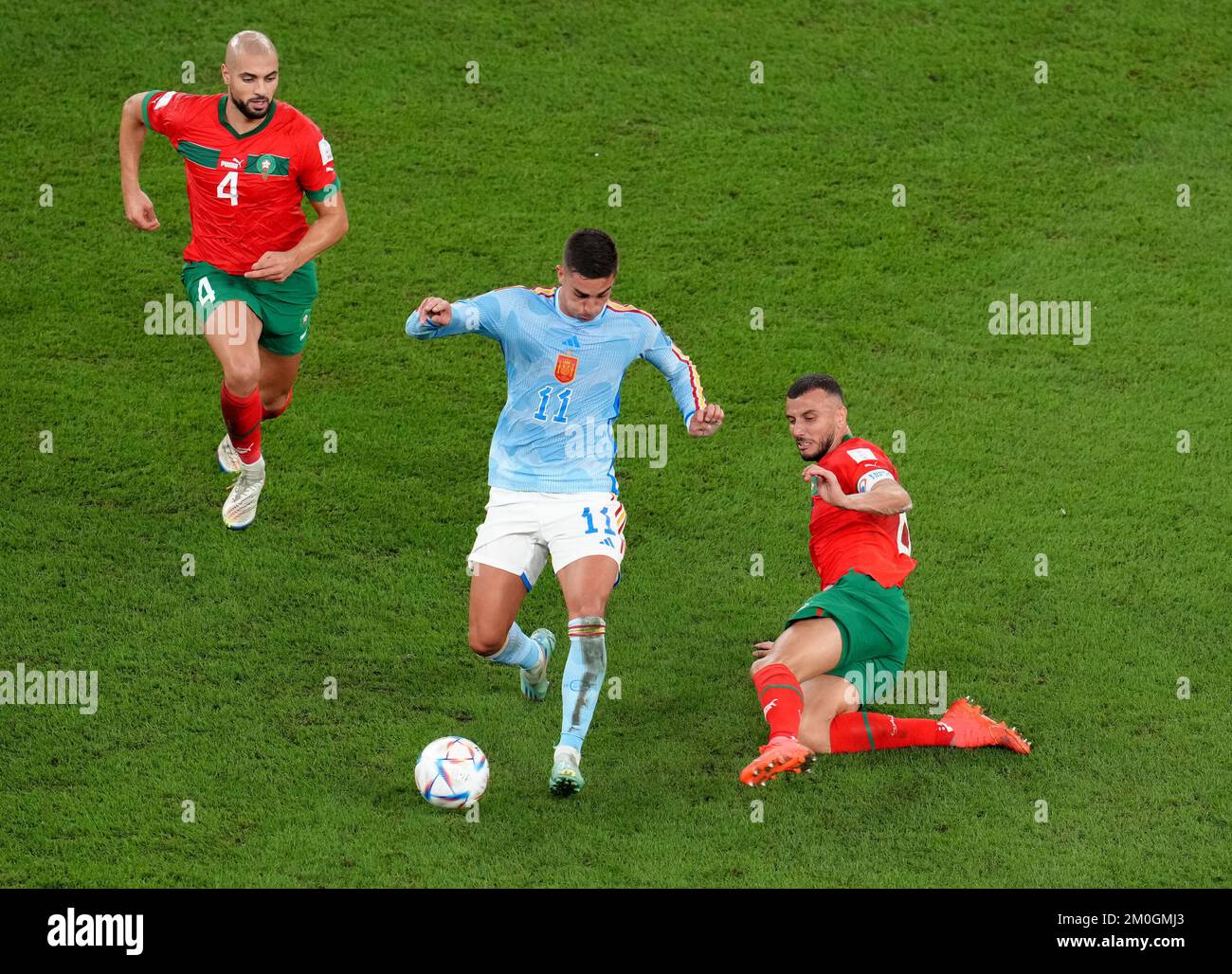 La Ferran Torres spagnola è affrontata dal marocchino Romain Saiss (a ...