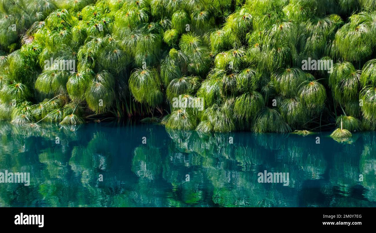 Acqua del lago immagini e fotografie stock ad alta risoluzione - Alamy