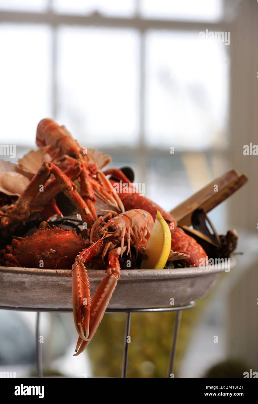 Fruits de mer locaux immagini e fotografie stock ad alta risoluzione ...