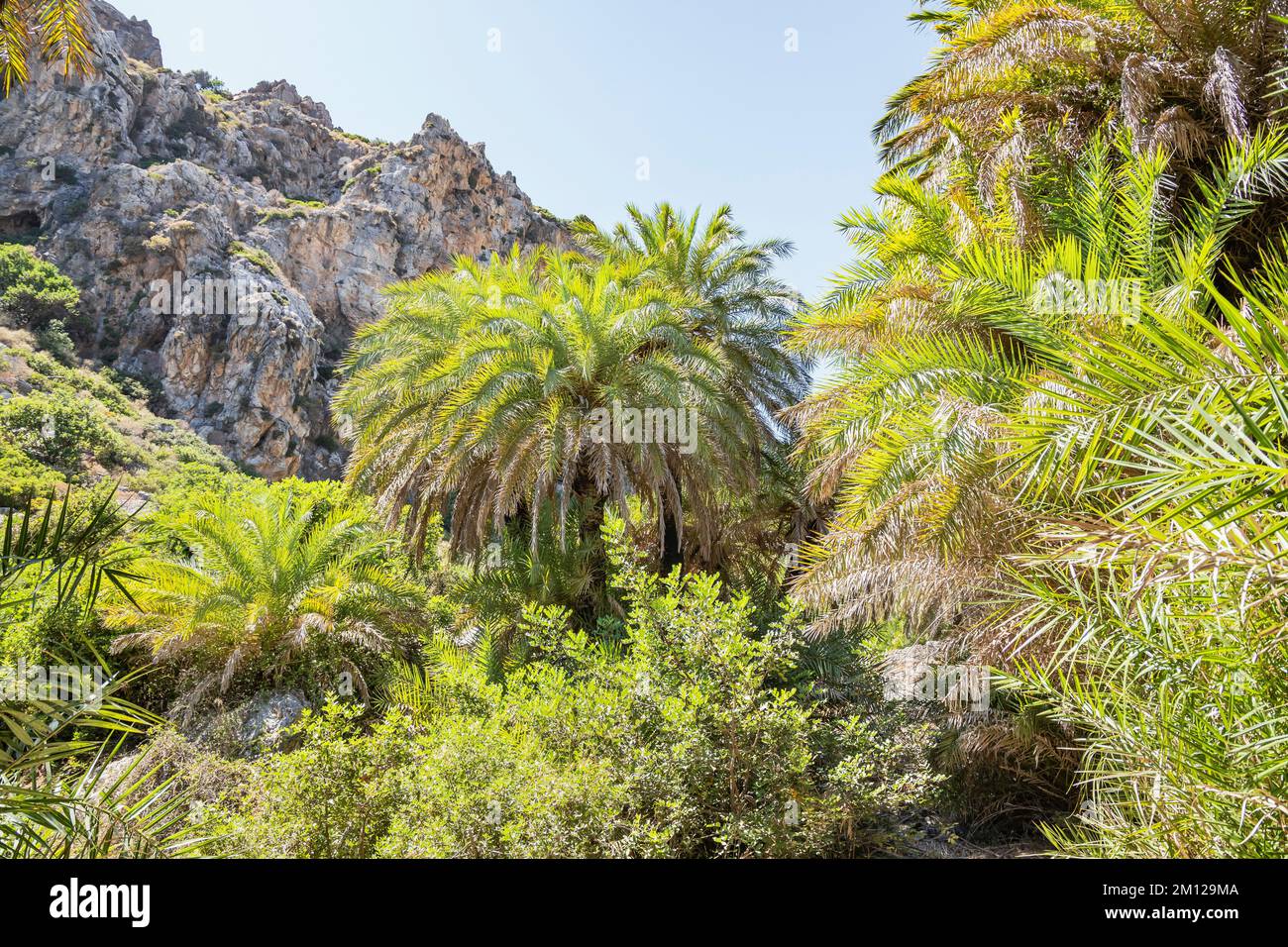 Isole greche isola greca immagini e fotografie stock ad alta ...