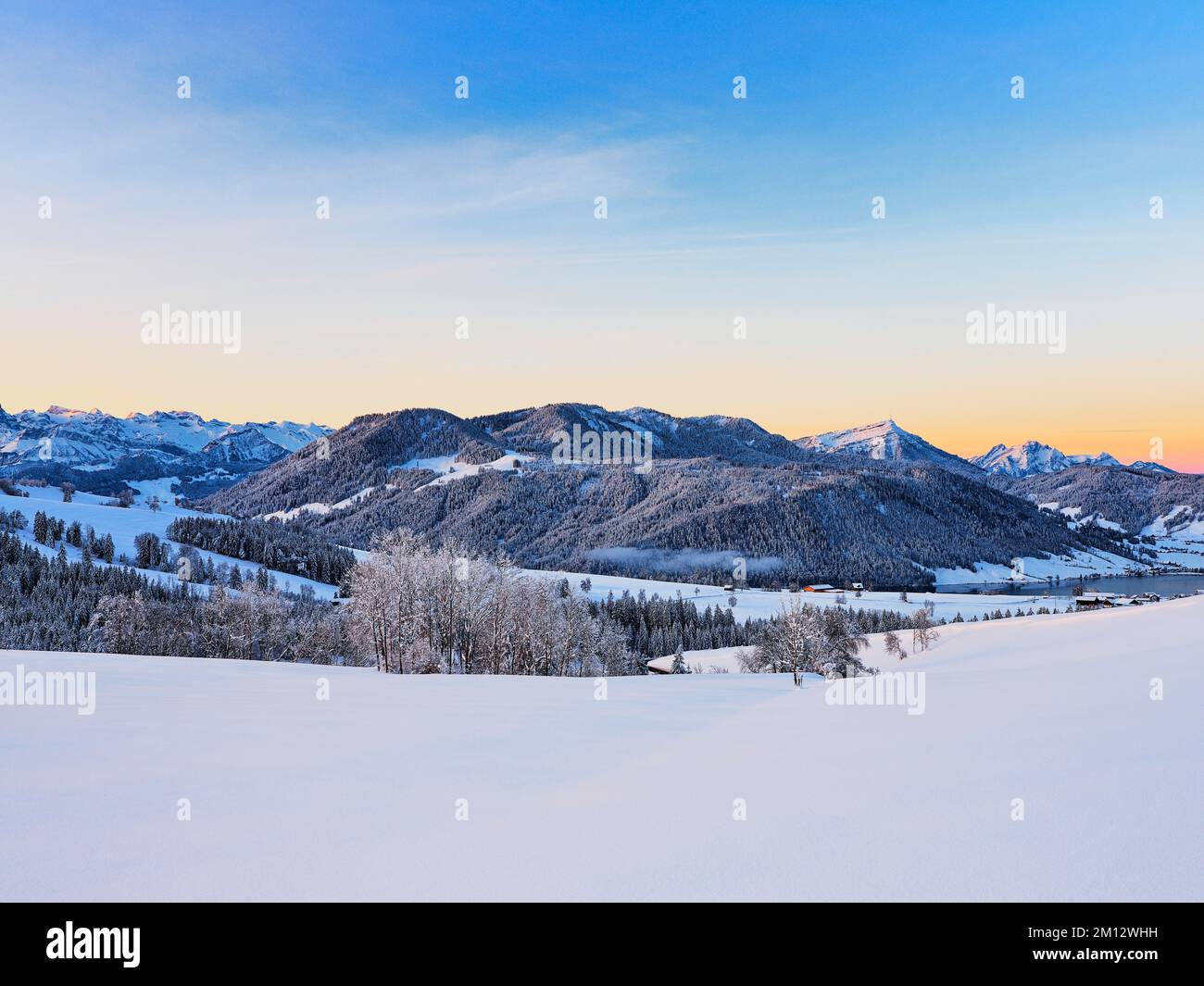 Foresta innevata con vista sul lago di Aegeri dietro Rigi e Pilatus ...