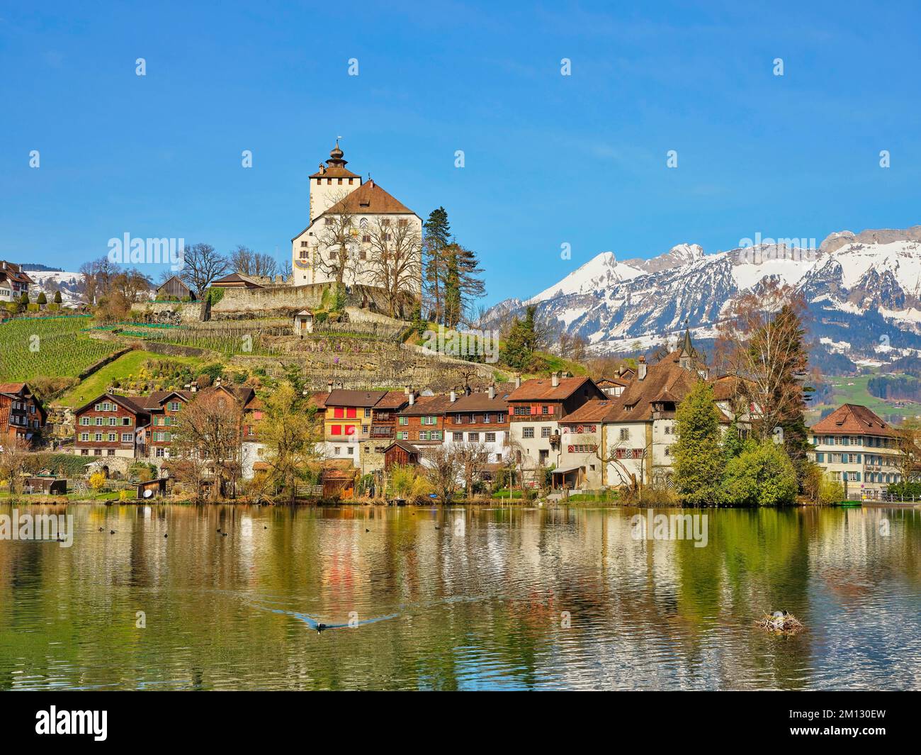 Castello di Werdenberg con il centro storico sul lago di Werdenberg ...