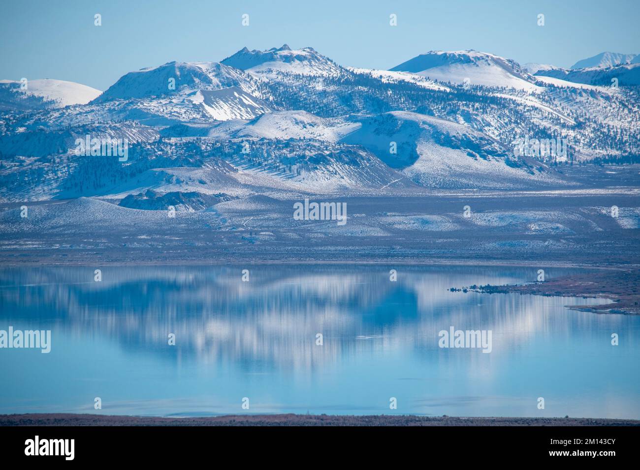 Il lago mono è bellissimo in inverno e riflette le cime montuose come i ...