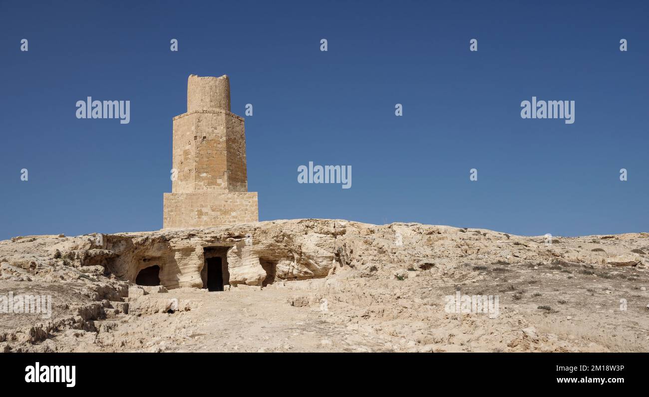 Ancient egypt branch immagini e fotografie stock ad alta risoluzione ...