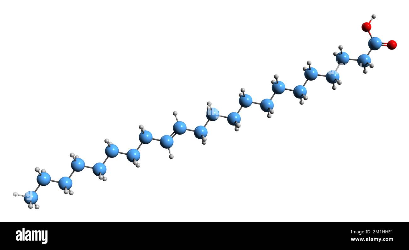 3D immagine della formula scheletrica dell'acido erucico - struttura ...