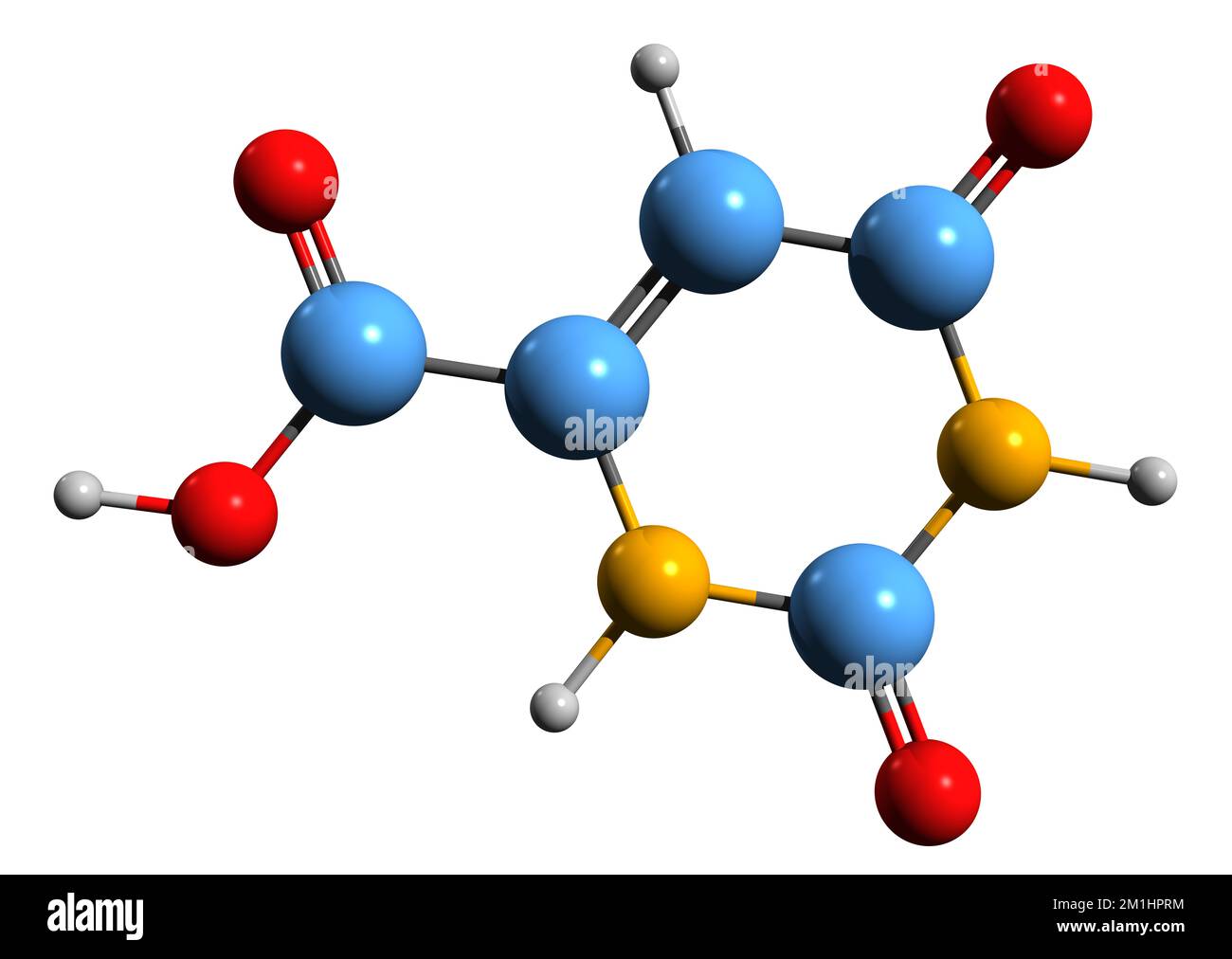 Anemia megaloblastica Immagini senza sfondo e Foto Stock ritagliate - Alamy