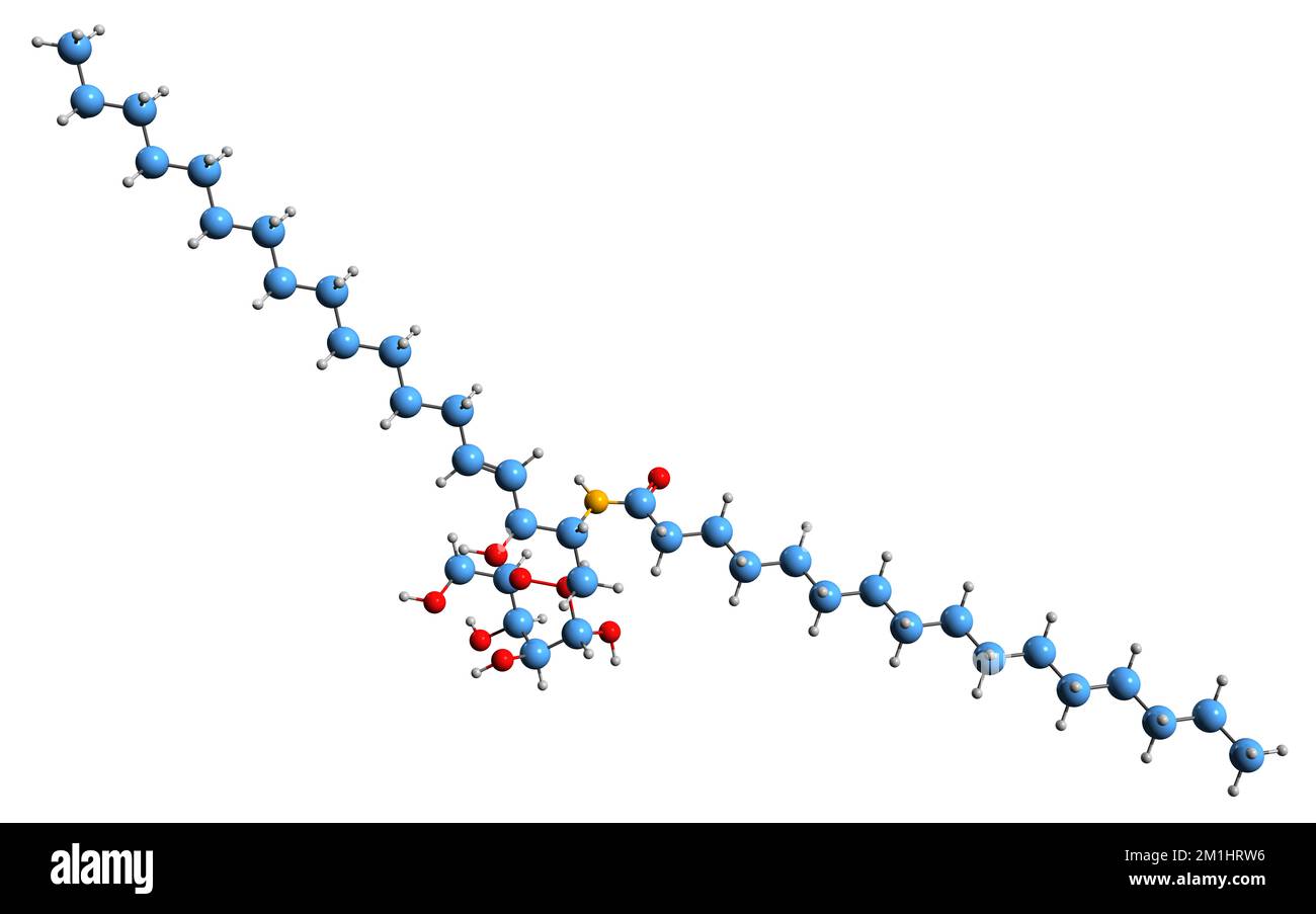 Metabolismo del colesterolo immagini e fotografie stock ad alta ...