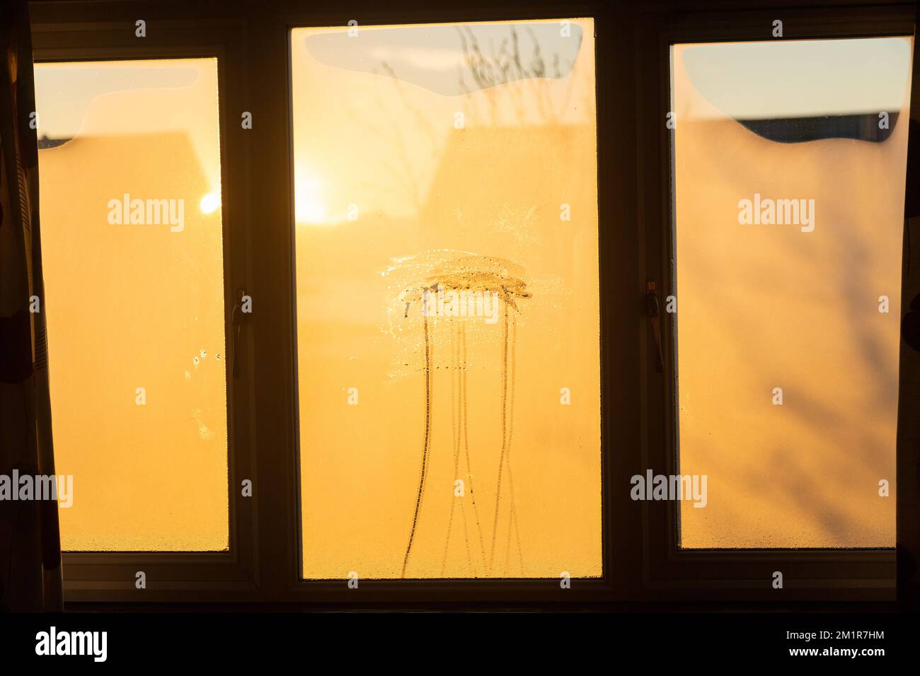 Condensation window glass moisture immagini e fotografie stock ad alta ...