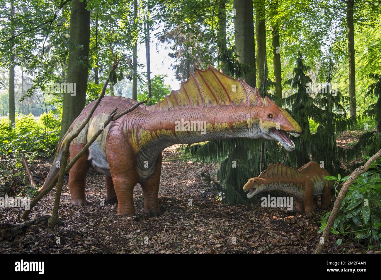 Replica realistica di vita di Amargasaurus con giovane, dinosauro ...