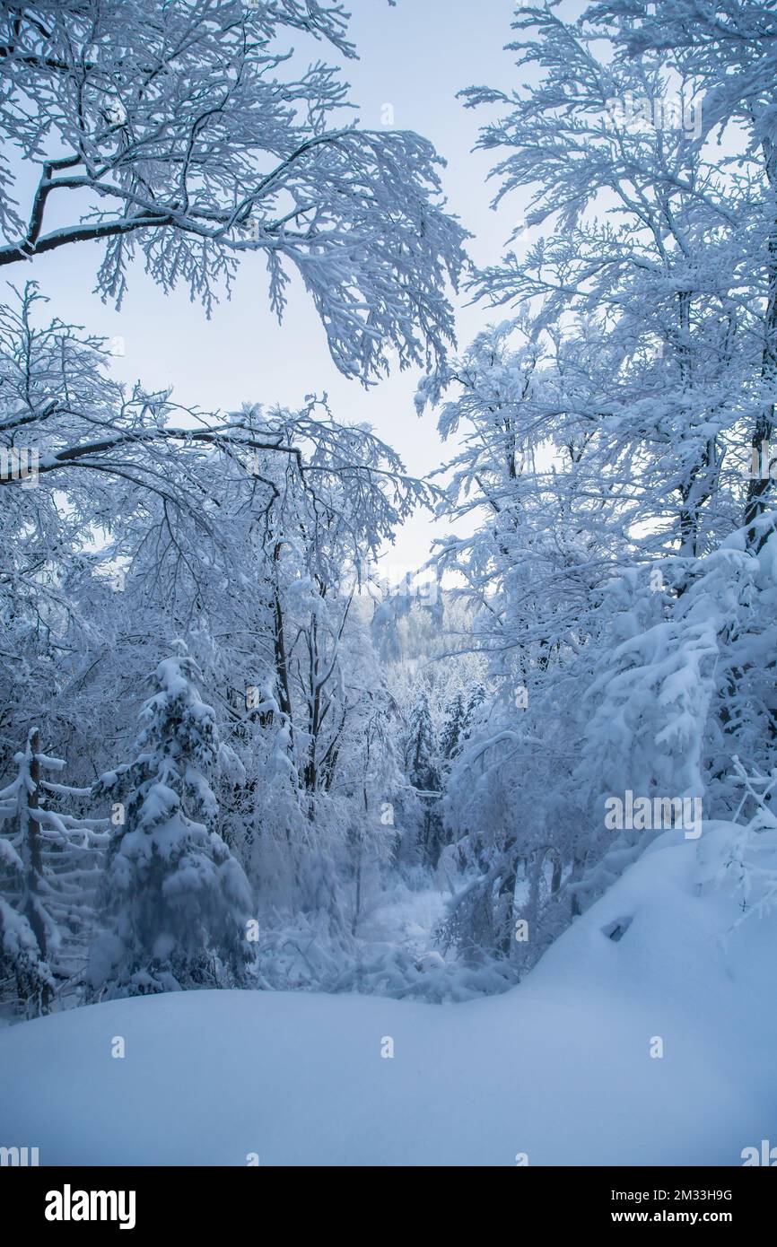 Mandlstein inverno immagini e fotografie stock ad alta risoluzione - Alamy