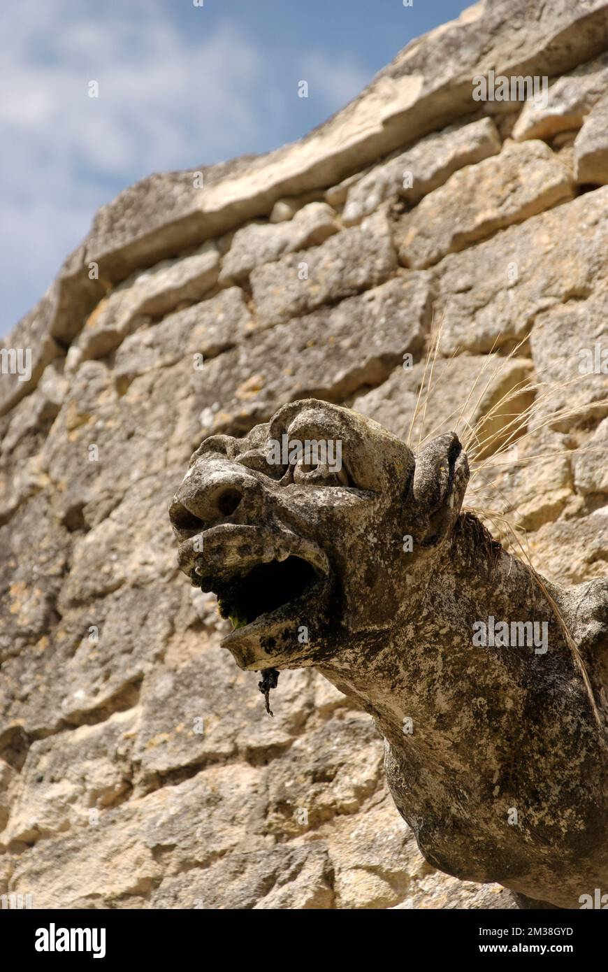 Creature minacciose immagini e fotografie stock ad alta risoluzione - Alamy