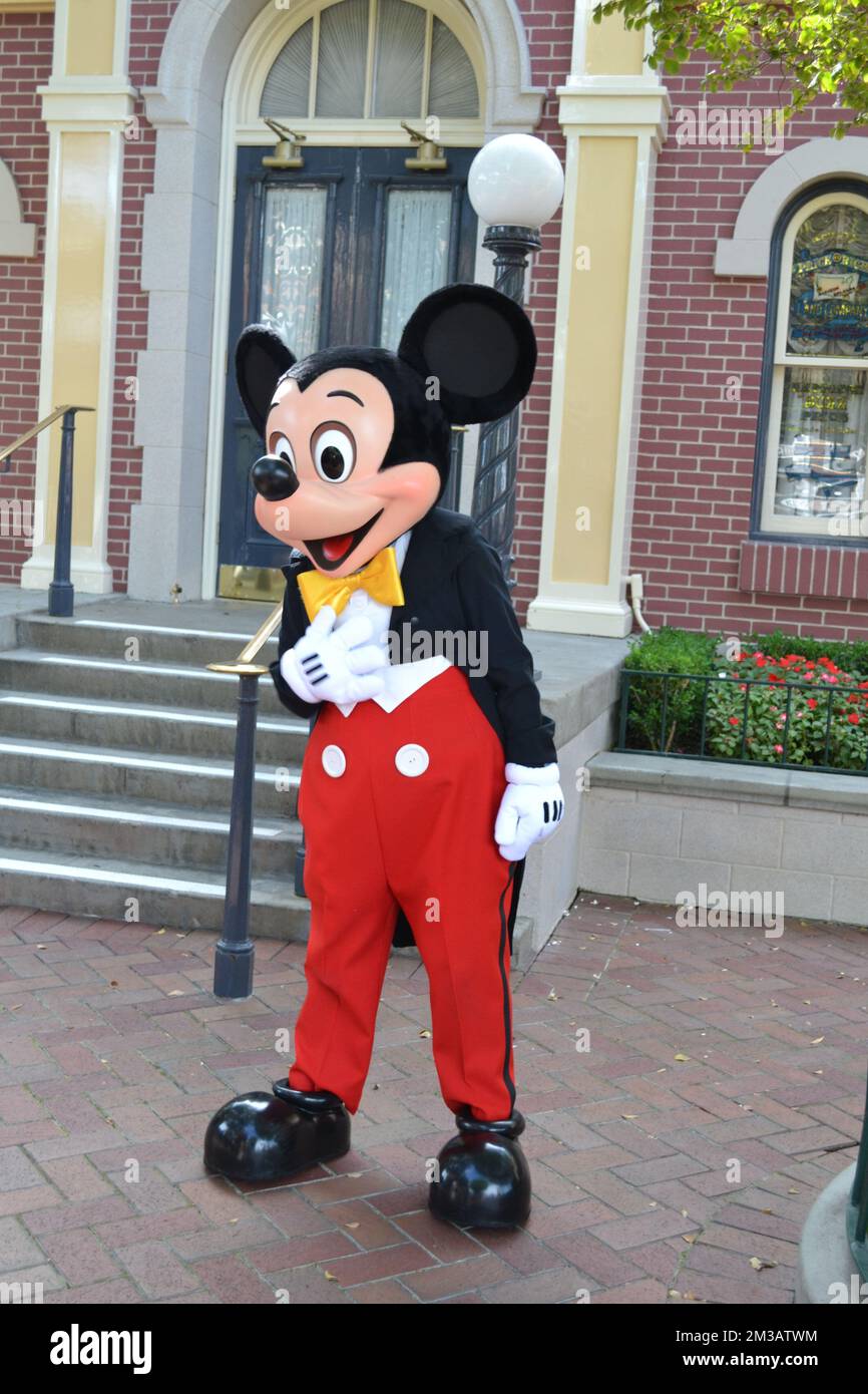 Faccia di topolino immagini e fotografie stock ad alta risoluzione - Alamy