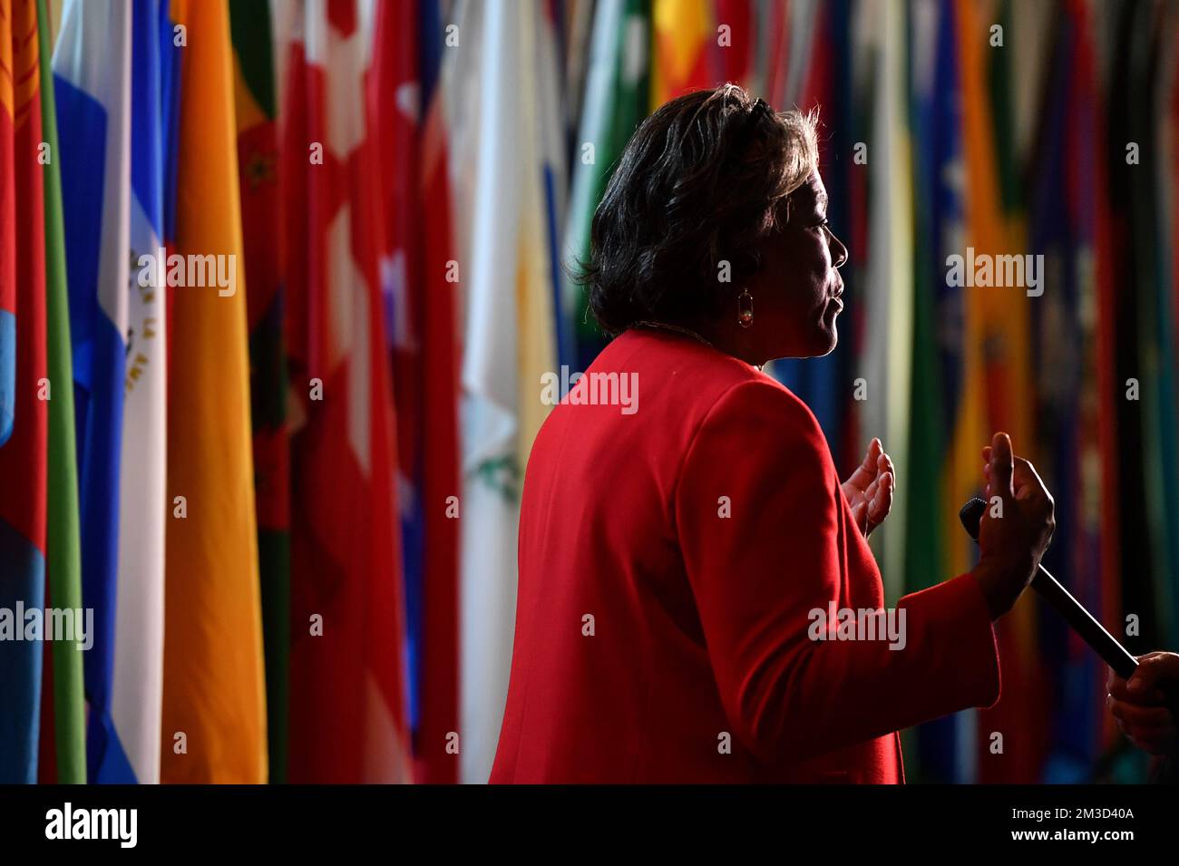 Ghazaleh chalabi immagini e fotografie stock ad alta risoluzione - Alamy