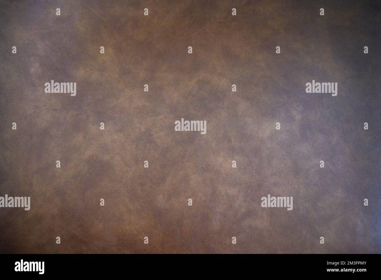 Sfondo della pelle animale immagini e fotografie stock ad alta ...