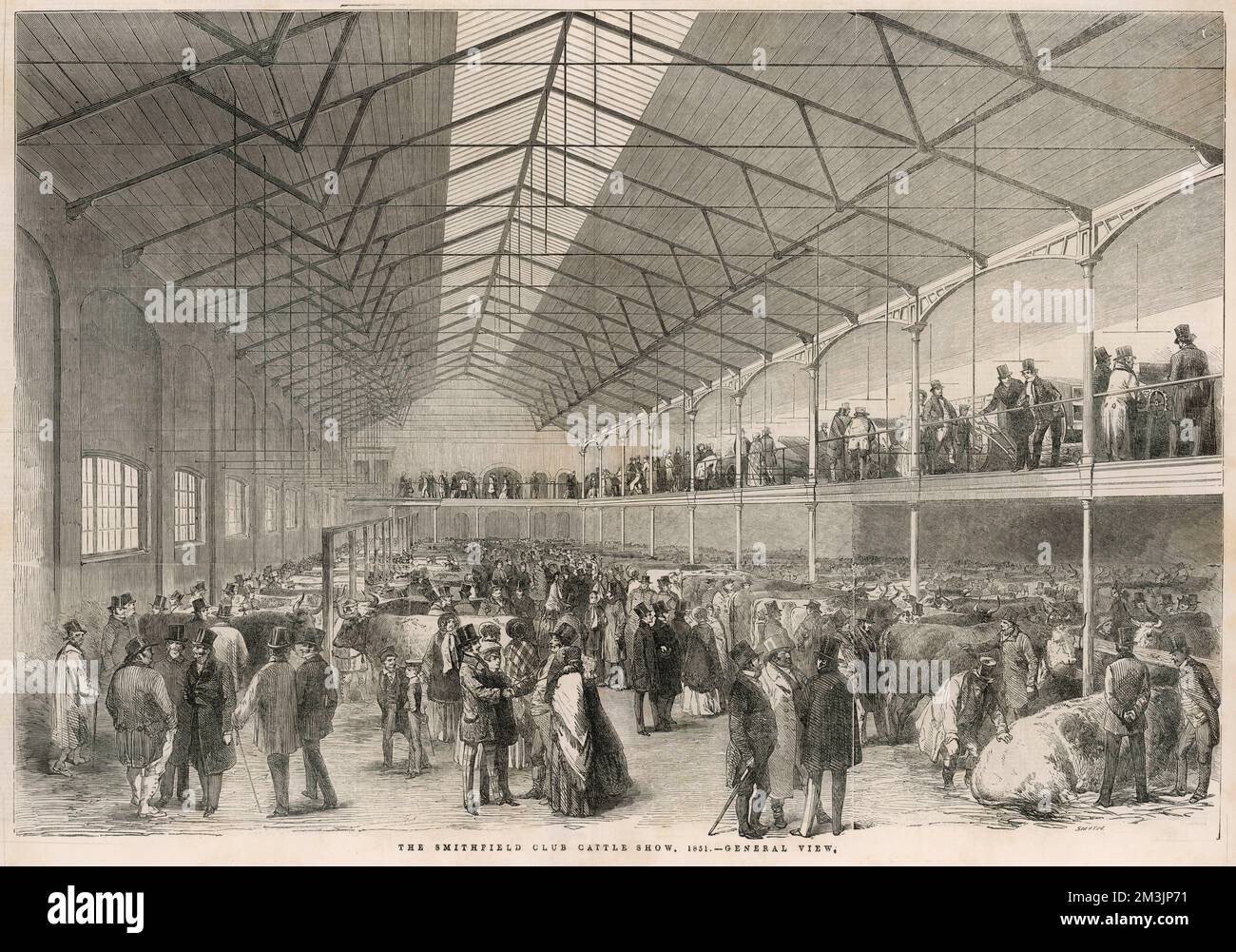 Cattle show immagini e fotografie stock ad alta risoluzione - Alamy