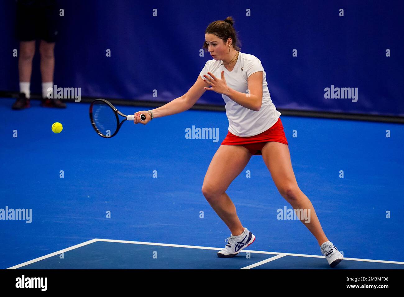 Loes ebeling koning immagini e fotografie stock ad alta risoluzione - Alamy