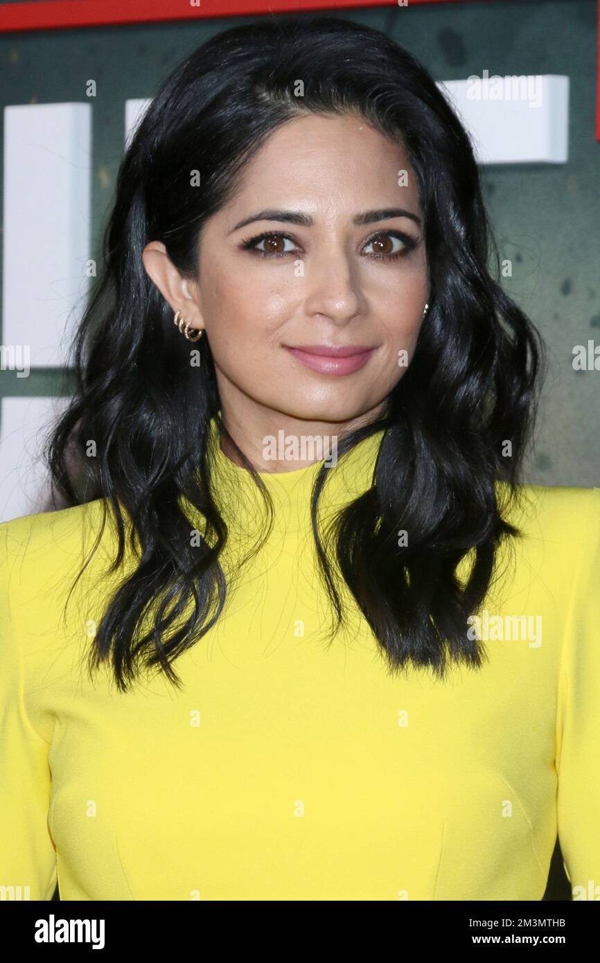 LOS ANGELES - DEC 8: Aarti Mann alla recruit Netflix Seriews Premiere ...