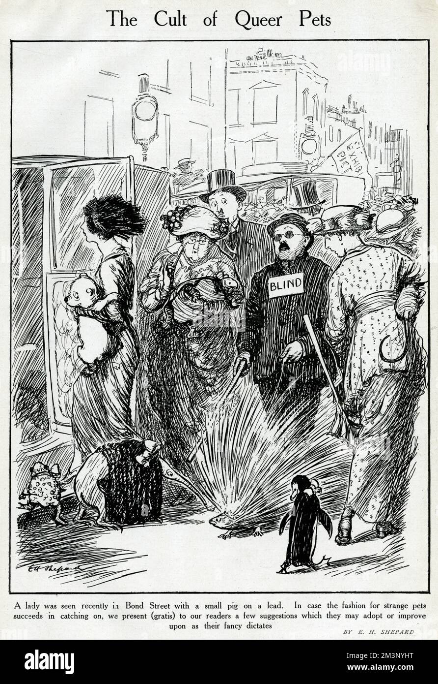 Penguin cartoon immagini e fotografie stock ad alta risoluzione - Alamy