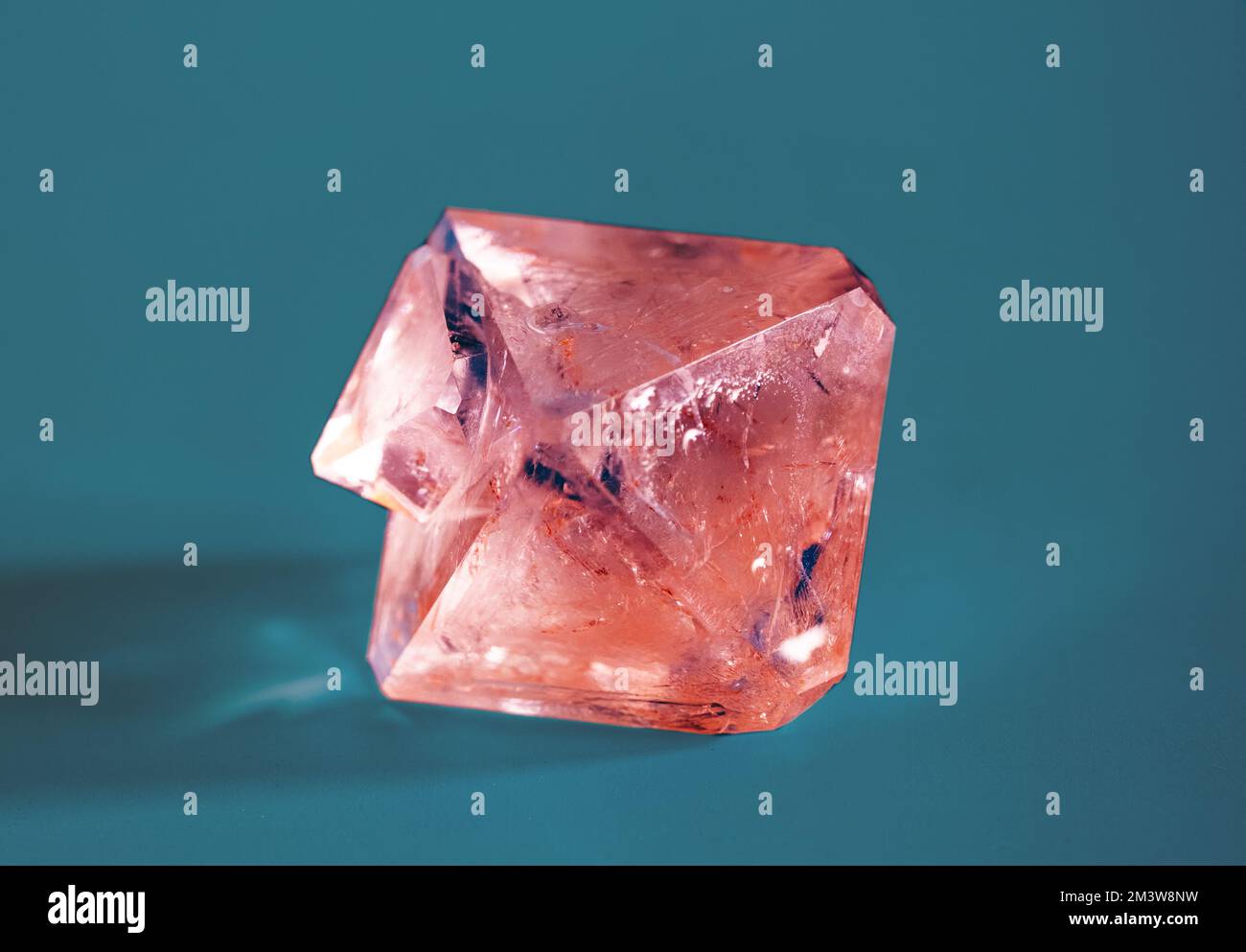 Spinello rosso immagini e fotografie stock ad alta risoluzione - Alamy