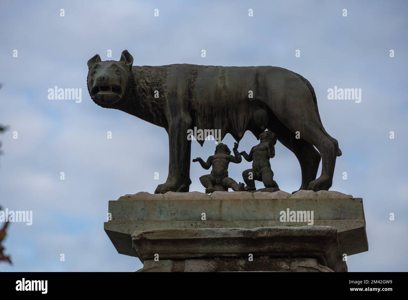Statua della lupa romana immagini e fotografie stock ad alta ...